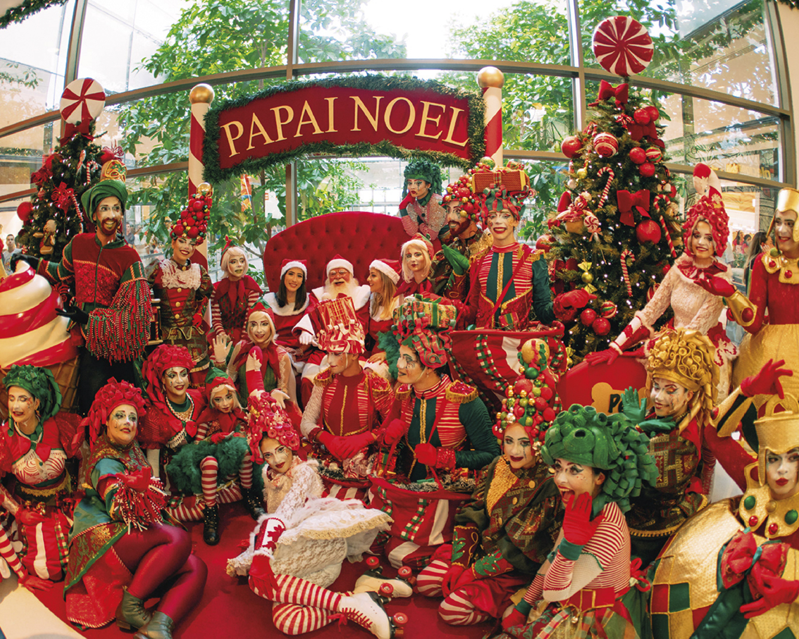 Design com Propósito - Elydio Design - Holambra/SP